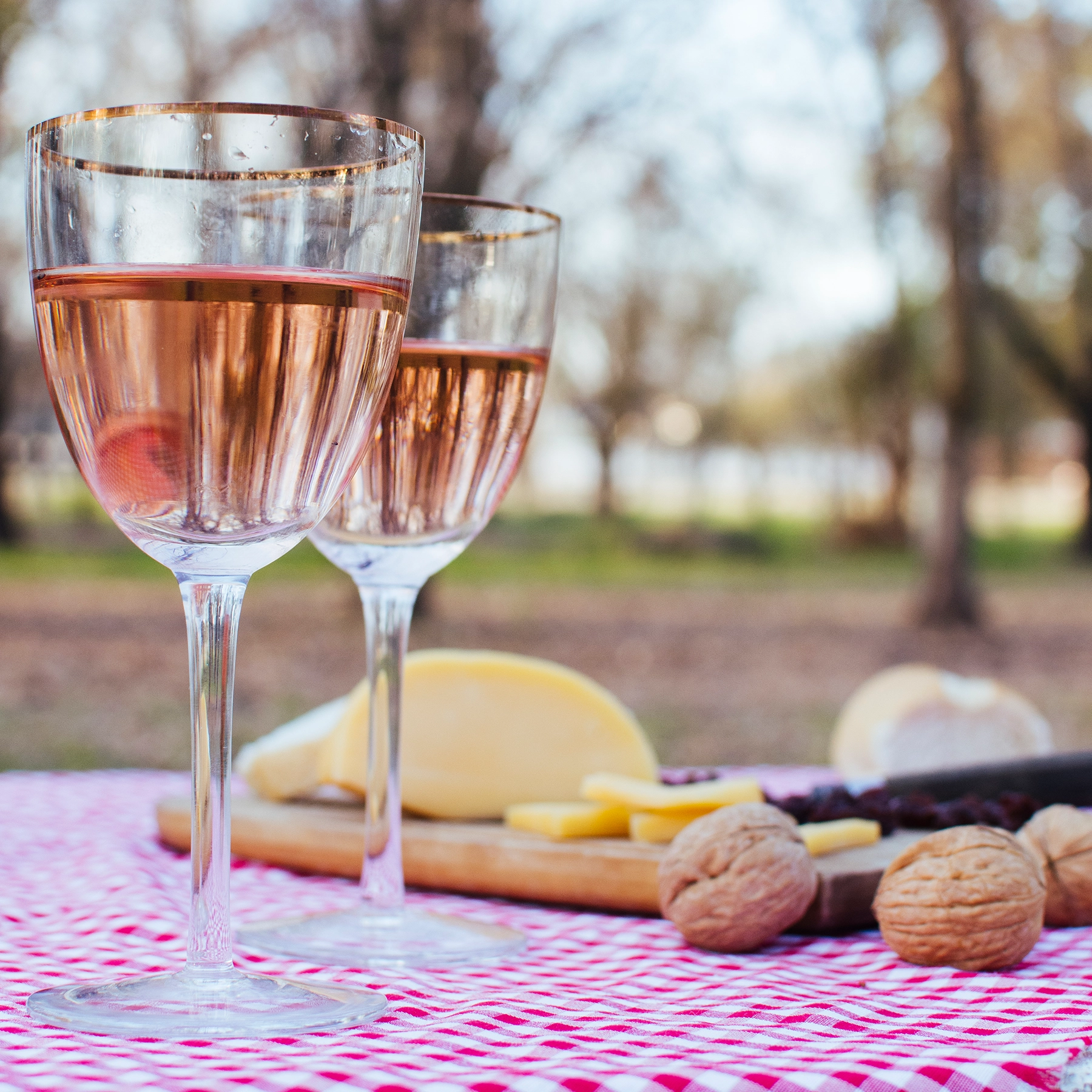 Bio Prosecco DOC Rosé Brut Nature Millesimato | Fidora Italy