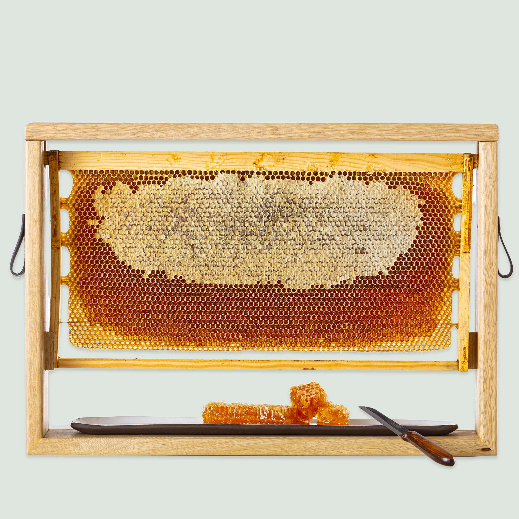 Raw Honey Comb Wooden Frame Limited Edition